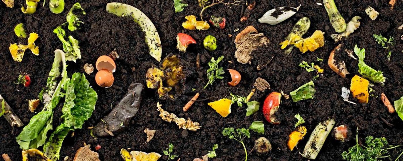 Bioplastiche, come smaltirle? Differenze tra compostabile e biodegradabile